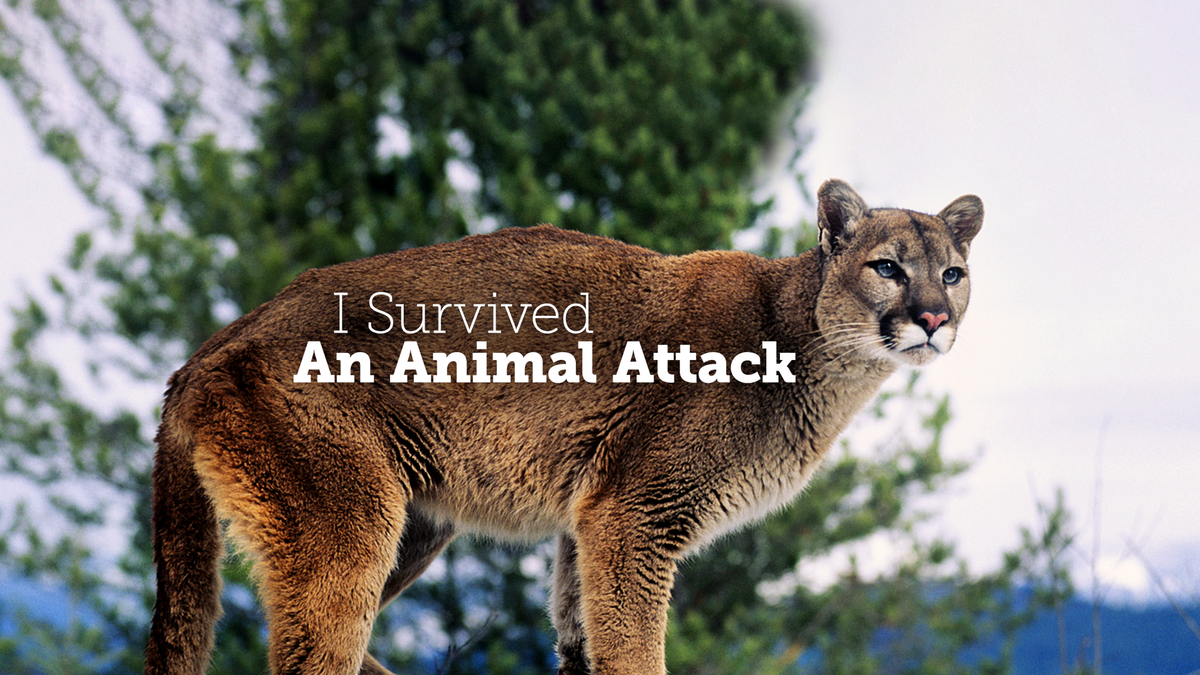 I Survived An Animal Attack - Streama online | TV.nu